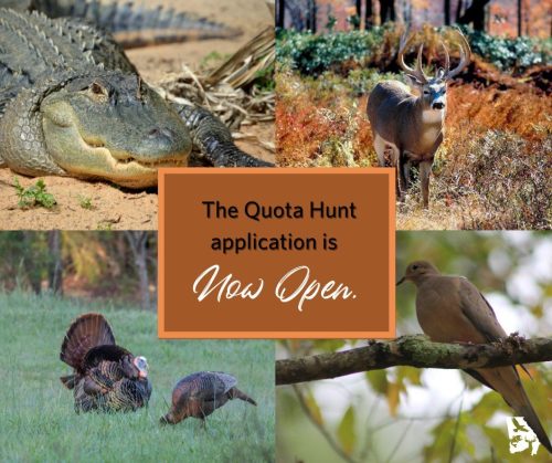 Georgia DNR Quota Hunt Application Period Opens - 92.1 WLHR