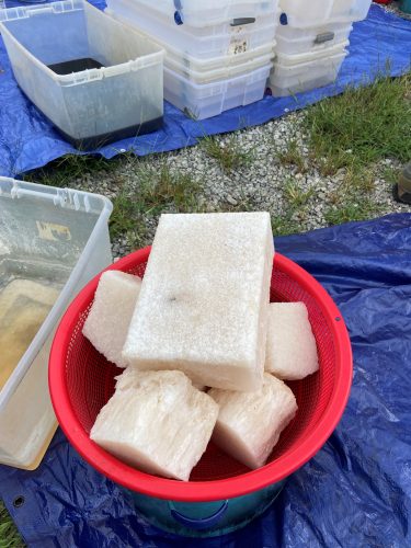 Trial Set for February for Pair Arrested in 2022 Meth Lab on Canon ...