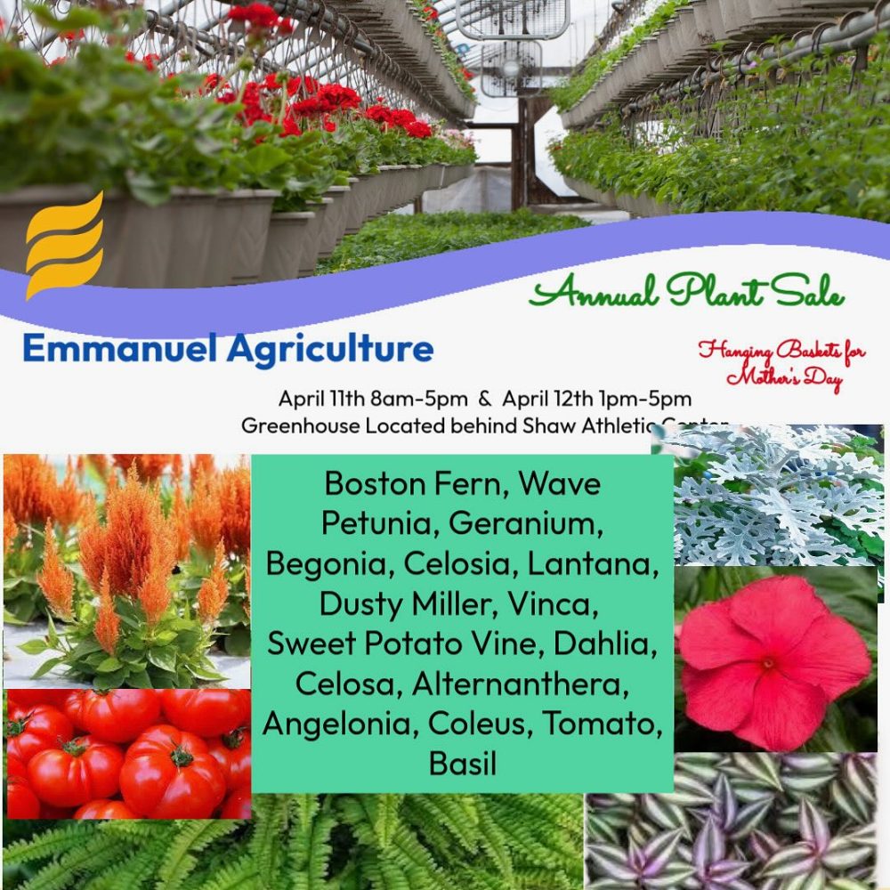Emmanuel University Holding Spring Plant Sale This Weekend - 92.1 WLHR