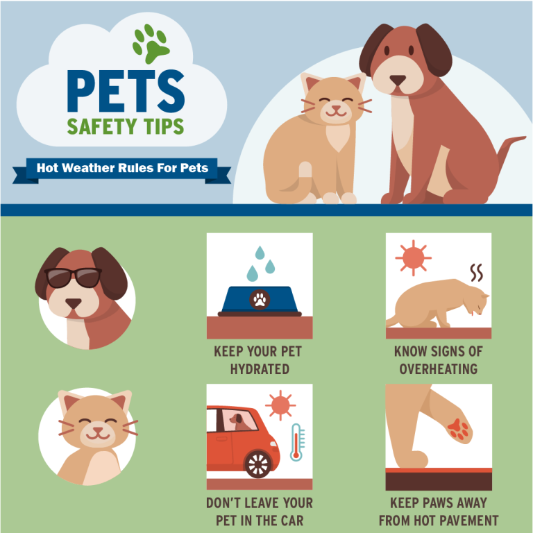 Humane Society of US Says Extreme Heat Affects Pets As Well - 92.1 WLHR